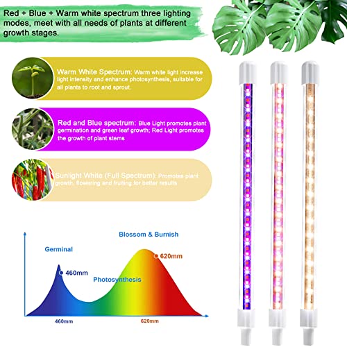 Grow Light for Indoor Plants, SUWITU 6000k Full Spectrum Plant Light, Clip-on Led Grow Lights, Plant Grow Light for Succulents Small Plants, Auto On/Off Timing, 1 Head 3 Lighting Modes & 10 Dimming