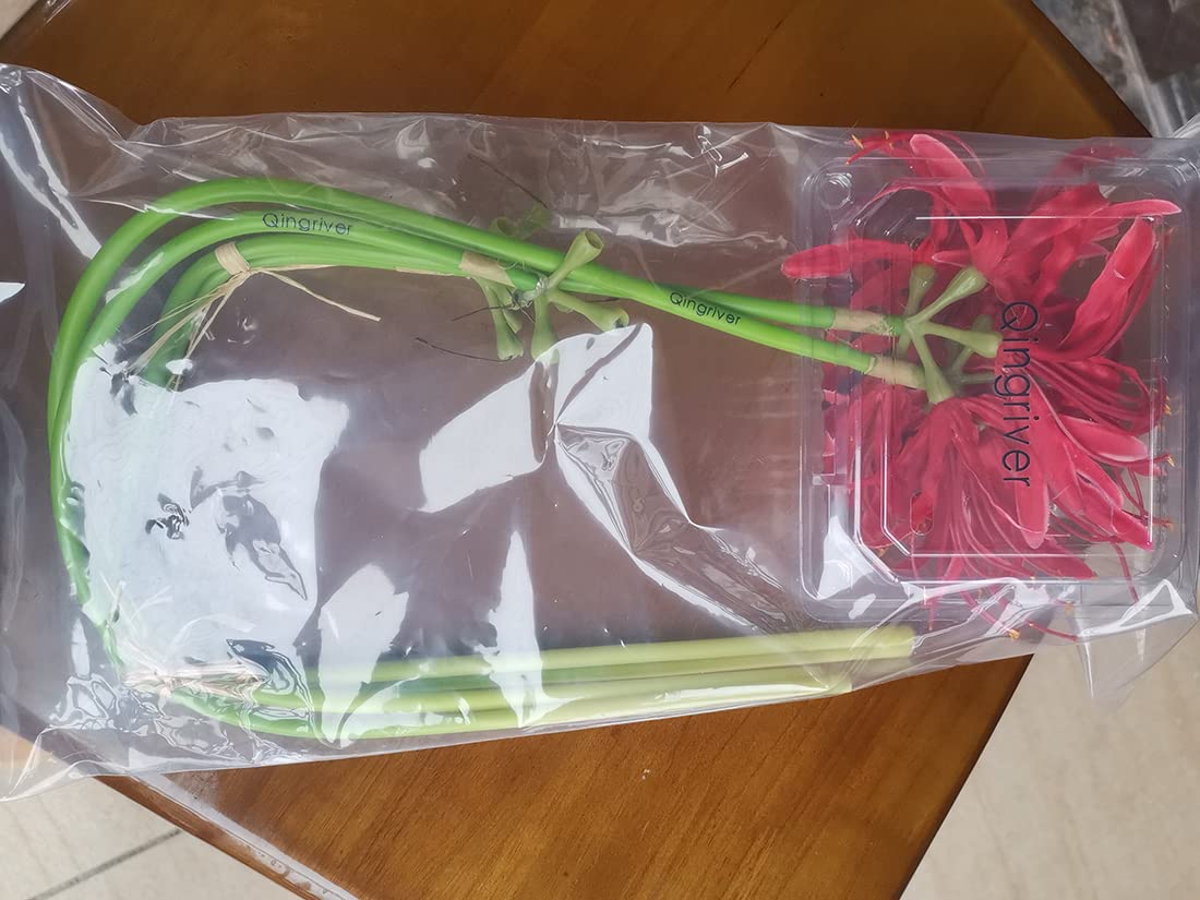 Qingriver 4 Stems 26.38'' Artificial Spider Lily Flowers Lycoris Radiata for Home Garden Decoration Red