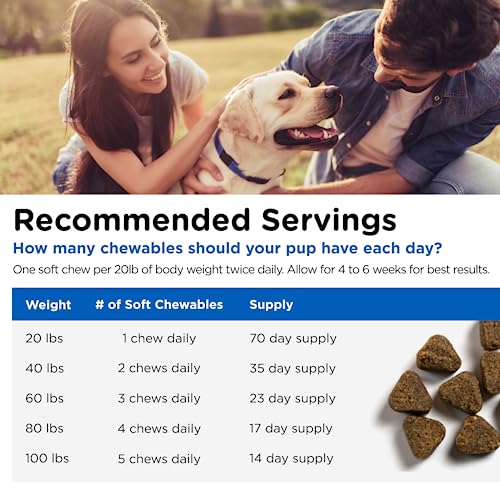 Nutri-Vet Adult-Vite Plus Soft Chews for Dogs |Formulated with Vitamins and Minerals | Supports Everyday Health | 70 Count