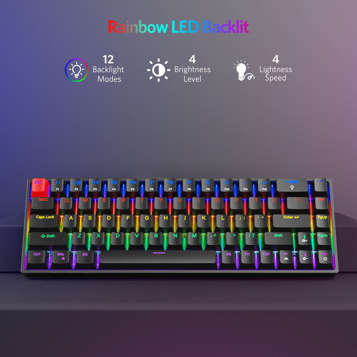 TEWELL 68 Keys Wired Compact Mechanical Gaming Keyboard with Audible Click Sound Blue Switches, Rainbow Backlit Portable Computer Keyboard for Windows Gaming PC