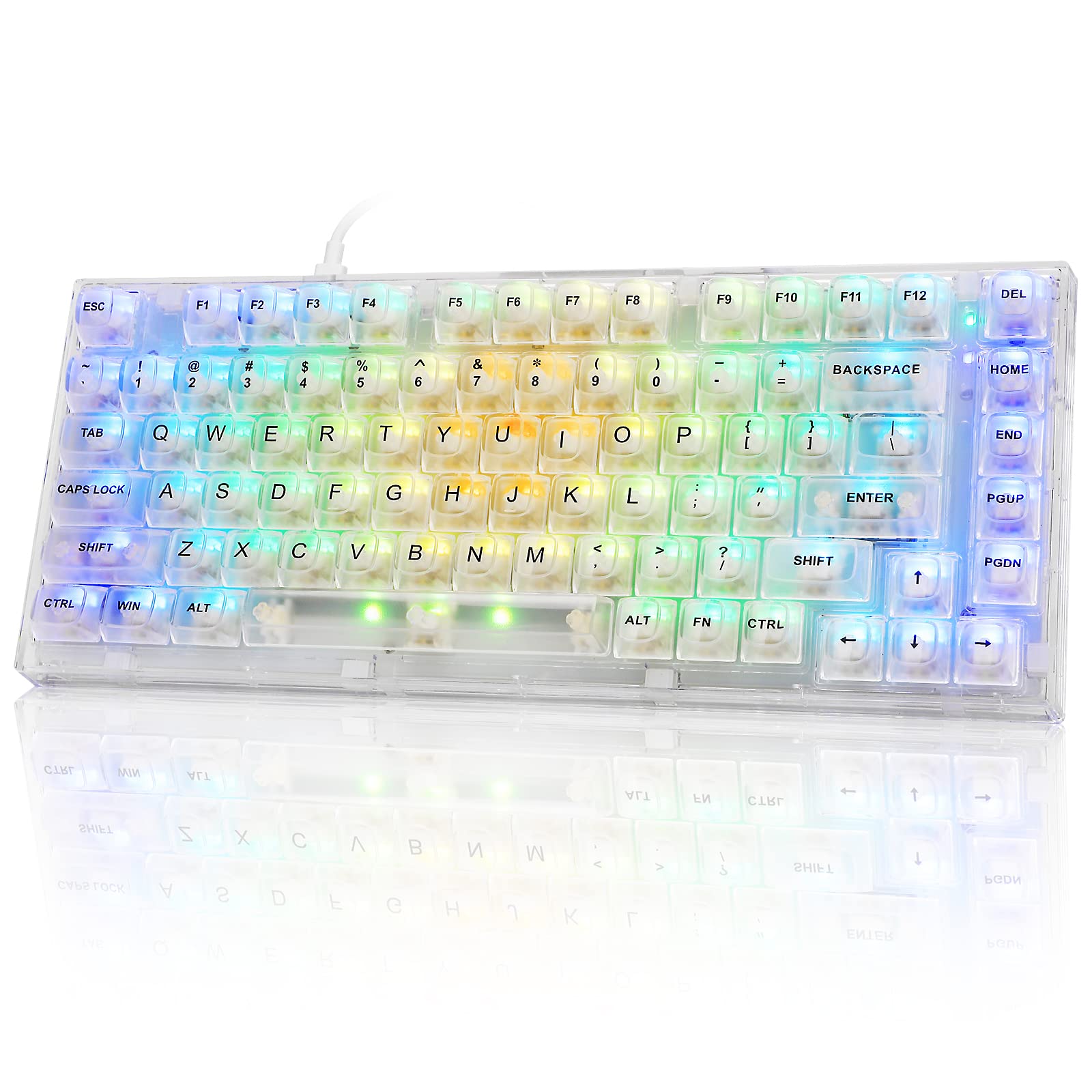 CHICHEN Mechanical Gaming Keyboard,Cool RGB Backlit Compact 82 Clear Keycaps,Hot Swappable 80% Keyboard with Ice Switch,Wired Transparent Keyboard for Windows/Mac (Transparent White)