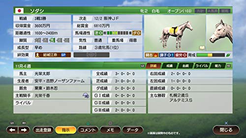 Winning Post 9 2021