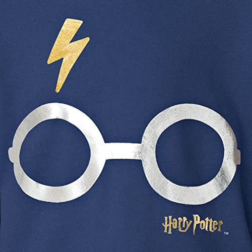 Harry Potter Little Boys Fleece Pullover Hoodie Blue 7-8