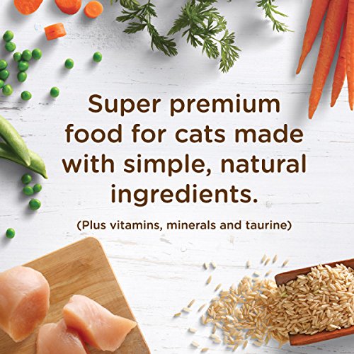 Rachael Ray Nutrish Premium Natural Dry Cat Food, Chicken & Brown Rice Recipe, 3 Pounds