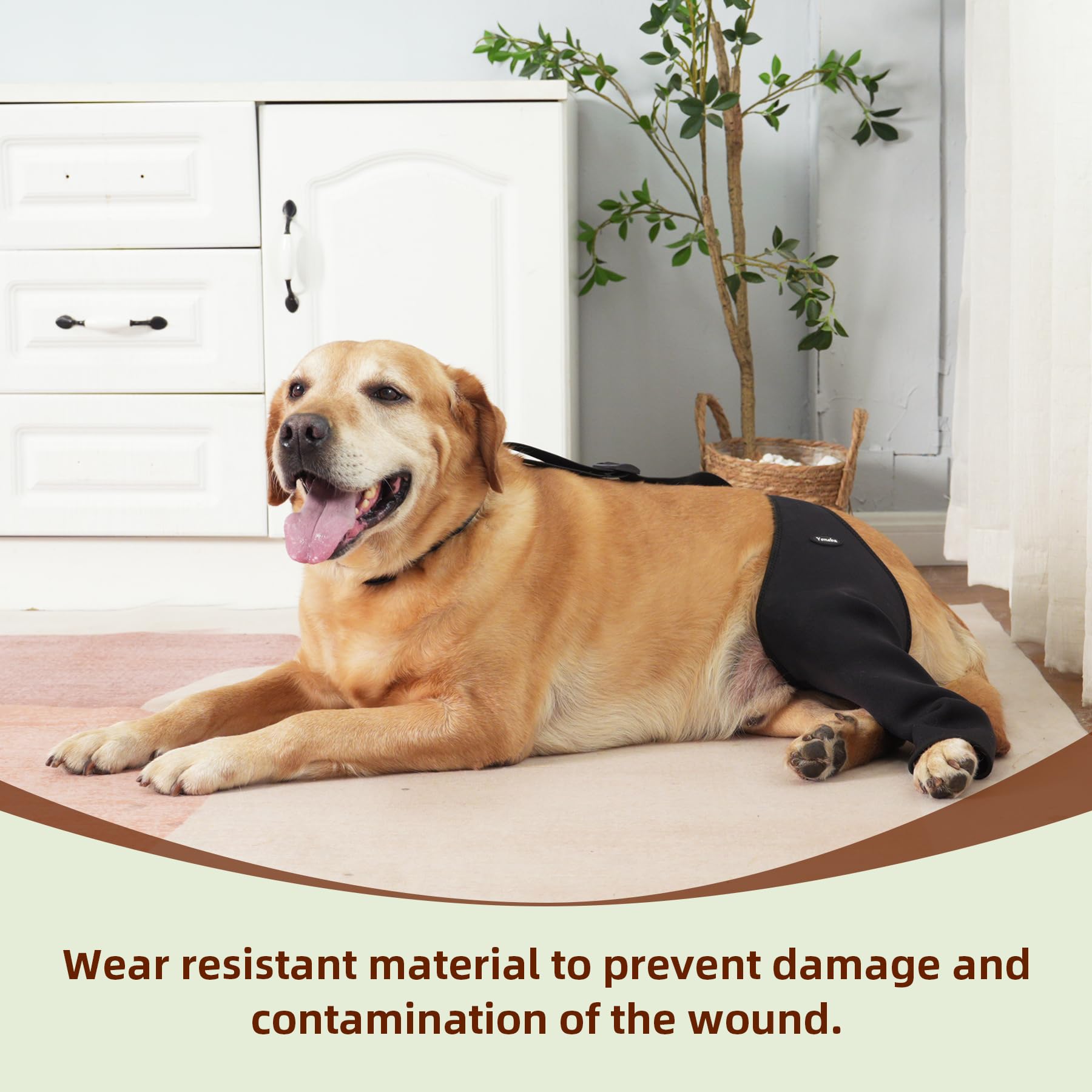 Dog Recovery Sleeve Back Leg Waterproof Diving Material,Dog Leg Sleeve to Stop Licking and Biting Firm and Secure, Adjustable Size, 2.5mm Thick Comfortable Alternative to Cone Collars (2XLarge)
