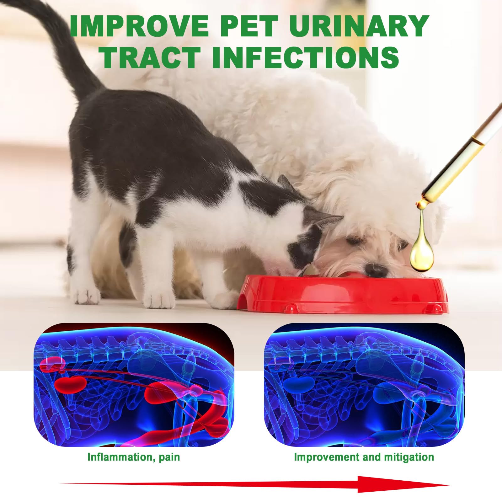Dog UTI Treatment Cat Urinary Tract Infection Treatment Drops Cat UTI Remedy - Natural Formula Rich in Cranberry and Vitamin C