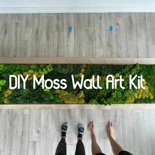 Prefleur Preserved Reindeer Craft Moss Natural Green DIY Kit Gardenning Art Wall Florist Easter Table Wedding(0.85lb)(Green-05)