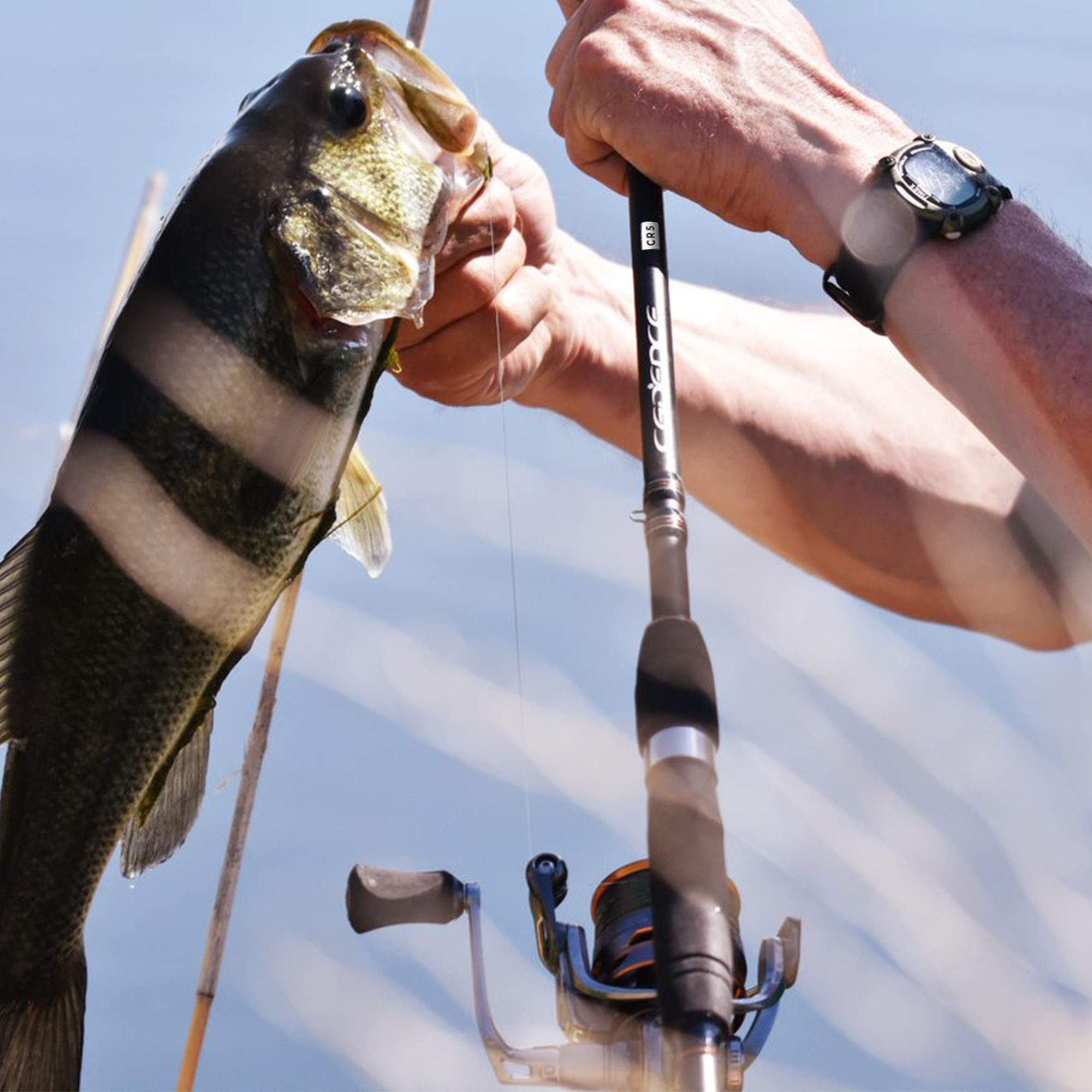 Cadence Fishing CR5 Spinning Rods | 30 Ton Carbon | Fuji Reel Seat | Stainless Steel Guides with SiC Inserts | CR5-701S-MHF