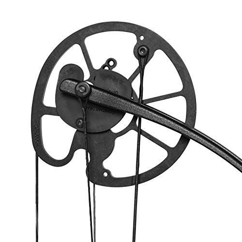 Cajun Sucker Punch Bowfishing Bow Kit