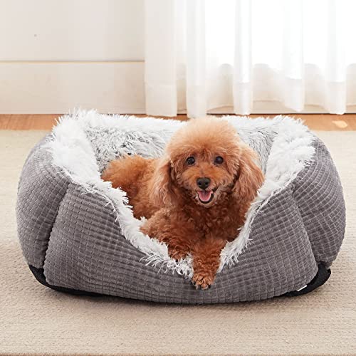 MIXJOY Small Dog Bed for Small Medium Large Dogs, Calming Cat Beds for Indoor Cats and Puppy, Washable Rectangle Orthopedic Dog Sofa Bed, Soft Plush Pet Bed with Anti-Slip Bottom (20''x 19''x 6'')