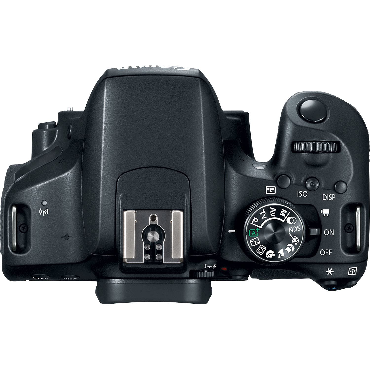 Canon EOS Rebel 800D / T7i DSLR Camera (Body Only) + 64GB Memory Card + Case + Corel Photo Software + 2 x LPE17 Battery + Card Reader + LED Light + Flex Tripod + More (Renewed)