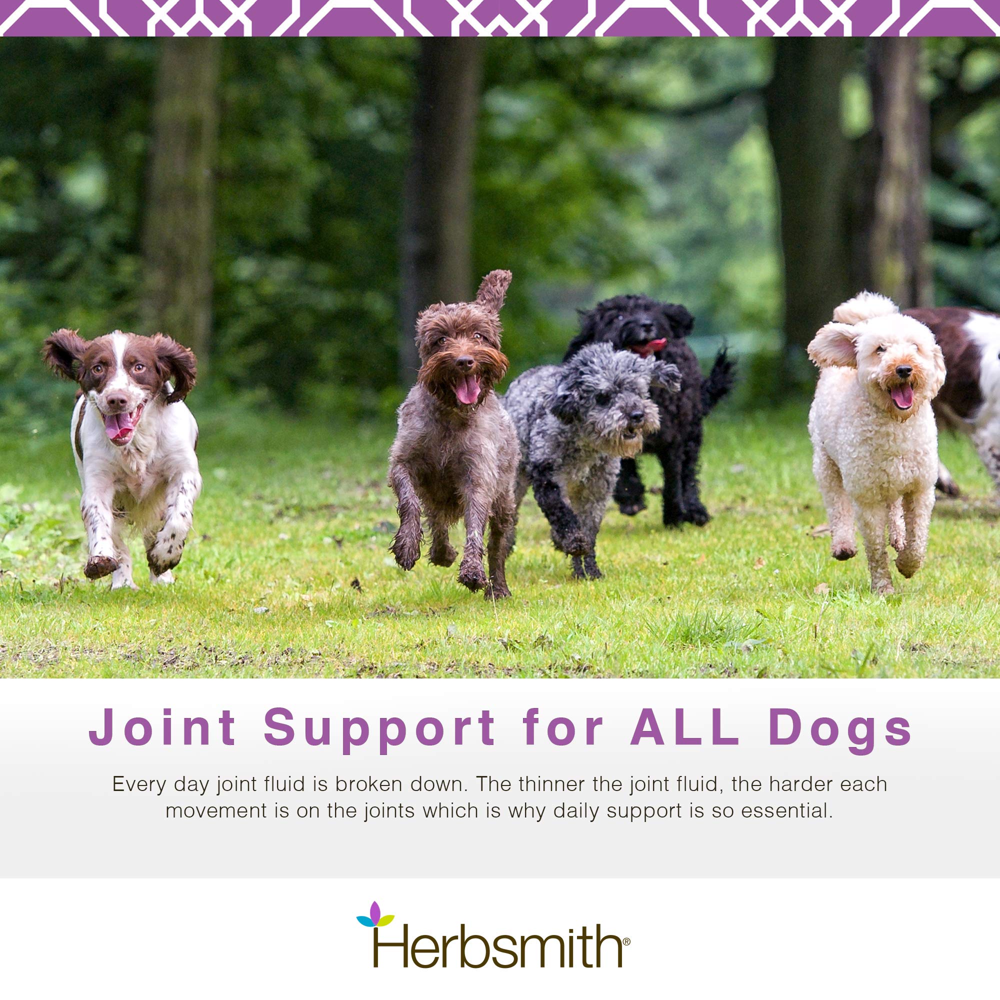 Herbsmith 75g Powder Advanced Joint Support Sound Dog Viscosity Veterinarian Recommended Glucosamine for Dogs