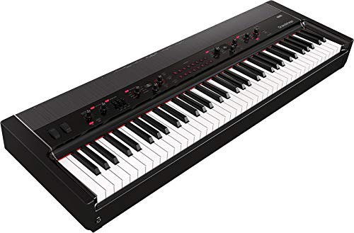 Korg Grandstage 73-Key Digital Stage Piano Bundle with Instrument Cable, MIDI Cable, and Austin Bazaar Polishing Cloth
