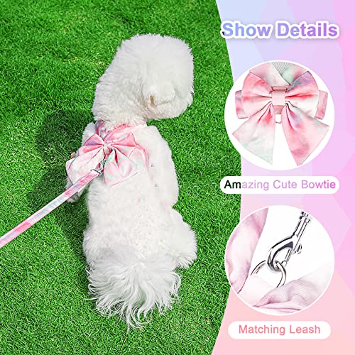 PETCARE Cute Bow Tie Dog Harness and Leash Set Elegant Rainbow Gradient Puppy Harness No Pull Soft Mesh Pet Cat Dog Vest Harnesses for Small Dogs Cats, Pink