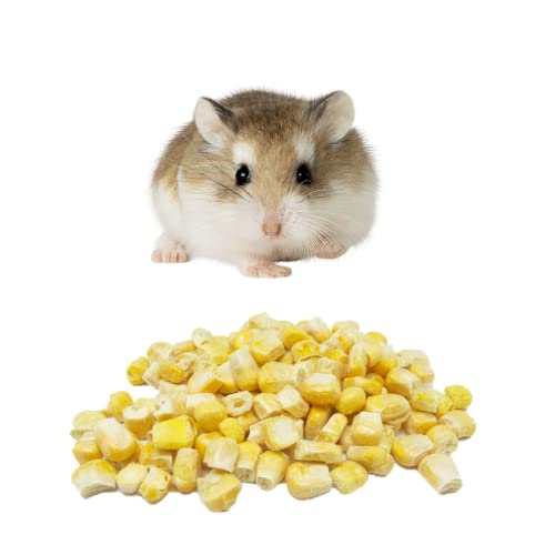 PETIVORE Premium Freeze Dried Corn for Sugar Glider and Small Exotic Pet - Made with Corn - Sugar Glider, Hamster, Squirrel, Chinchillas, Marmoset Happy Treats, Snacks and Food (17g)