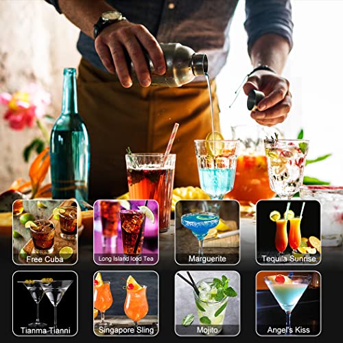 KINGROW Mixology Cocktail Shaker Set - Complete 29-Piece Bartender Kit and Bar Tools with Acrylic Rotating Stand, Professional Bar Set for Drink Mixing, Home, Bar, Party (Sliver)