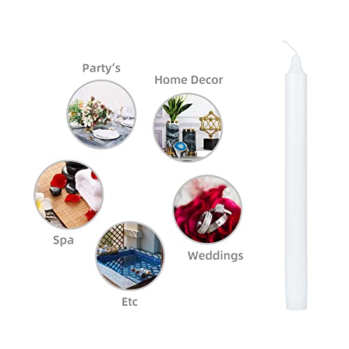 Zest Candle 12-Piece Taper Candles, 10-Inch, White Straight