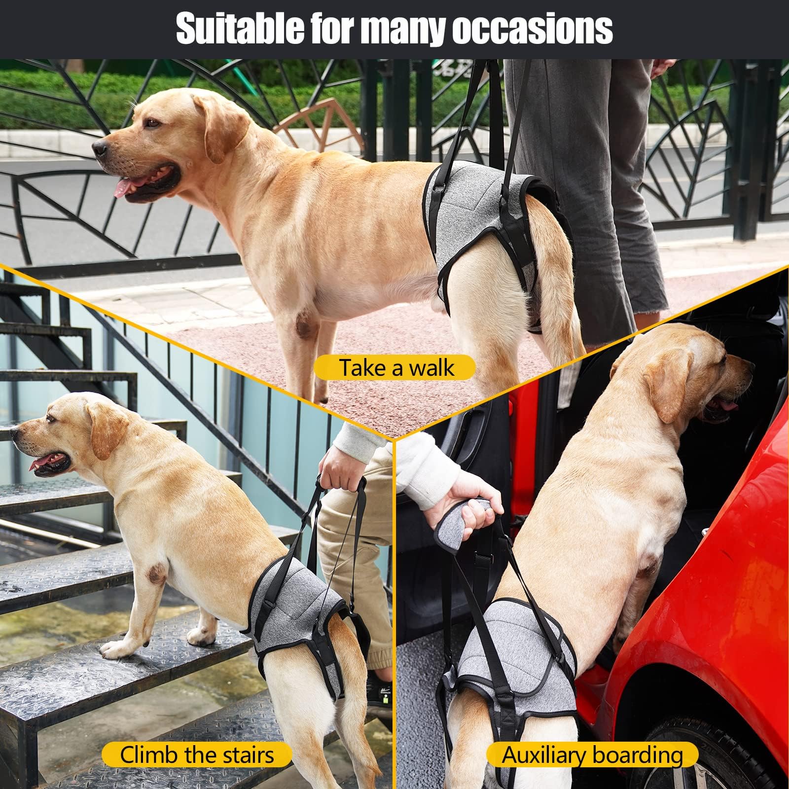 HDKUW Dog Lifting Harness,Dog Hind Legs Support Strap, Pet Portable Recovery Walking Training Lift Strap with Handle for Elderly Injured Amputation Disabled Dogs (XL)