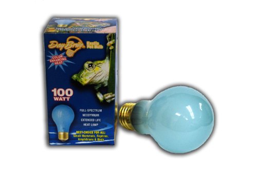 PQL DAY-BRITE 100 WATT