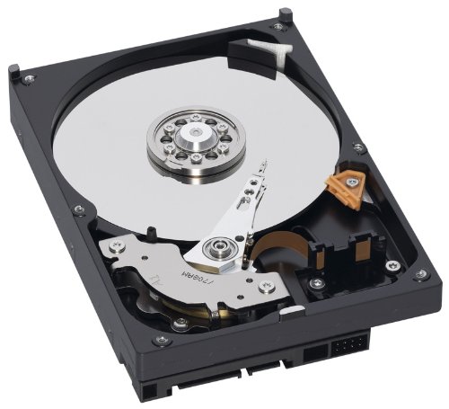 Western Digital 160 GB AV 100 Mb/s 7200 RPM 8 MB Cache Bulk/OEM AV Hard Drive- WD1600AVJB