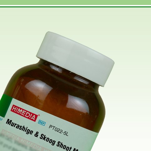 HiMedia PT022-5L Murashige and Skoog Shoot Multiplication Medium A with CaCl2, Vitamins, Sucrose, IAA, Adenine Sulphate and 2iP, 5 L