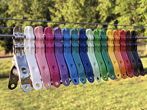 Henry Berry & Dairy Extreme Clothespins | Solid 304 Stainless Steel | 20 Pack | Heavy Duty | Anti-Rust | Laundry Pins | Clothes Pins | Chip Clips | Lifetime Product | No Plastic | Made in Italy