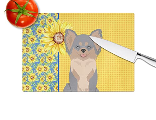 Caroline's Treasures WDK5358LCB Summer Sunflowers Longhaired Blue and Tan Chihuahua Glass Cutting Board Large Decorative Tempered Glass Kitchen Cutting and Serving Board Large Size Chopping Board