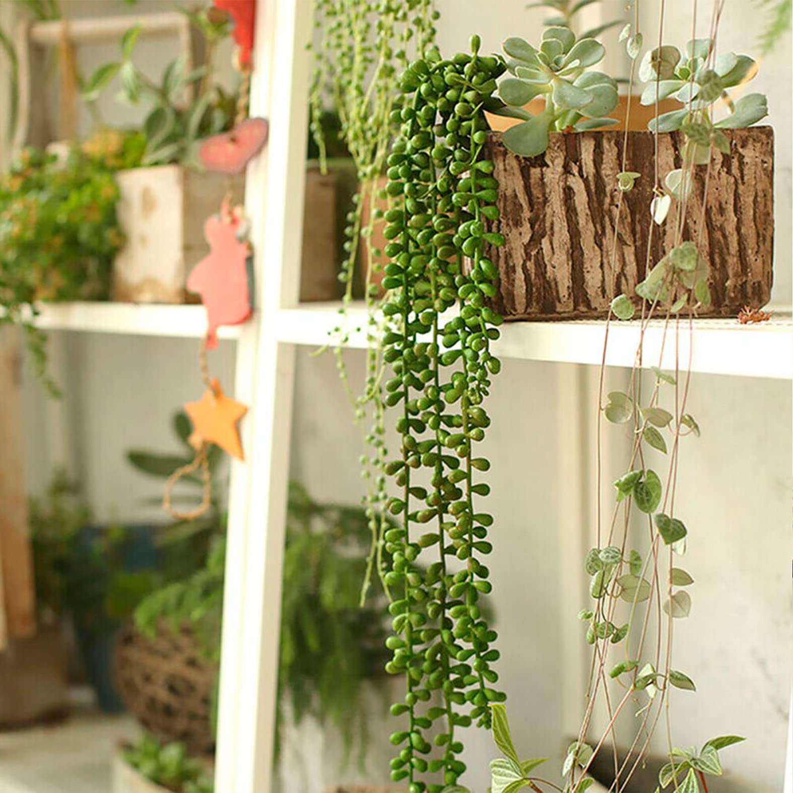 ROXXY GREEN DECOR Artificial String of Pearls Plant - 3 Pack Faux Fake Hanging Succulent Pearl Plants for Home, Kitchen, Office, Wedding, Garden or Craft Art Decor