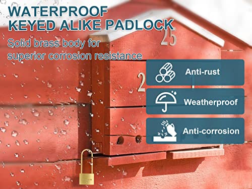 DELSWIN Keyed-Alike Solid Brass Padlock - Small Pad Locks with Same Key Weatherproof Long Shackle Lock for School Gym Locker and Tool Box, Pack of 2