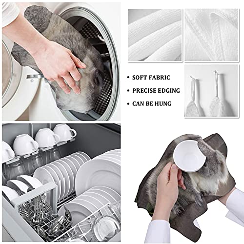 CirCleO Cotton Kitchen Towels 2 Pack, Koala Bear Australia Wild Animals Kitchen Dish Towels, Absorbent Dish Cloths/Bar Towels/Tea Towels/Hand Towels with Hanging Loop, Ultra Soft