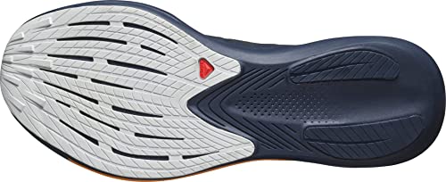 Salomon L416102009 Phantasm Mood Indigo/Nisk/LunRoc 9 Men's