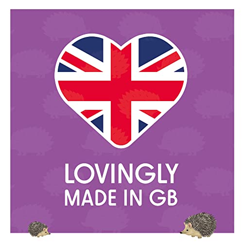 Spikes World Ltd Spikes Semi-moist Hedgehog Food 550g