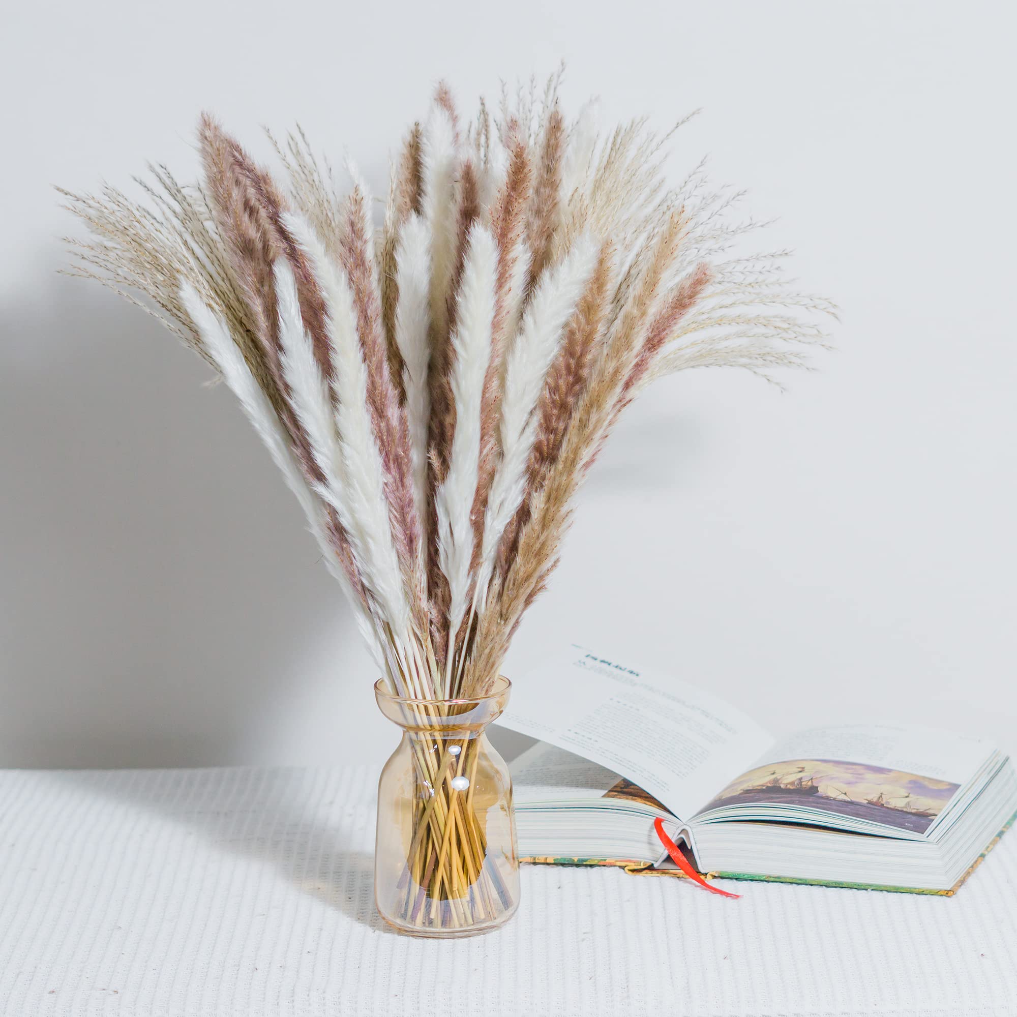 Spear SLENDERSUN Orchid Bouquet Dried Pampas Grass – Pack of 60 Pcs Tall Stems (17,7”) Soft & Fluffy Floral Bouquets Minimalist, Rustic, Luxury Home Garden Décor, White, Brown, Reed