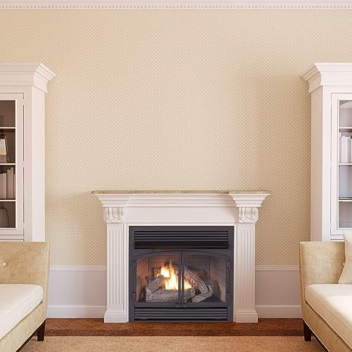 Duluth Forge Dual Fuel Ventless Gas Fireplace Insert, Remote Control, 6 Fire Logs, Use with Natural Gas or Liquid Propane, 32000 BTU, Heats up to 1500 Sq. Ft., Black