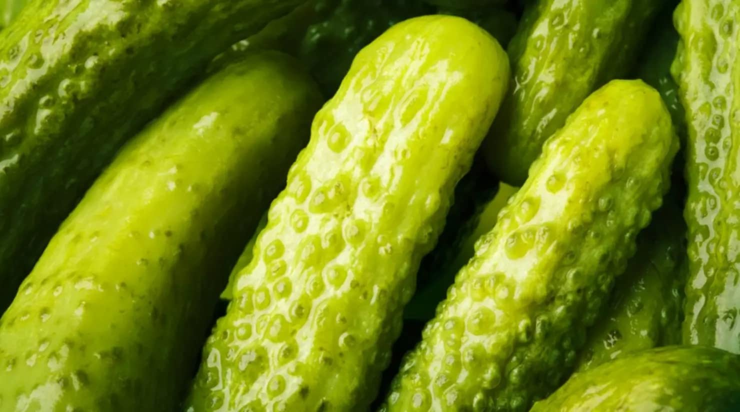 Best Maid Dill Pickle 60-80 Count 5 Gallons | Foodservice Bulk | Concession Stand Items | Gourmet | American Grown & Made | Take Home a Taste of Texas