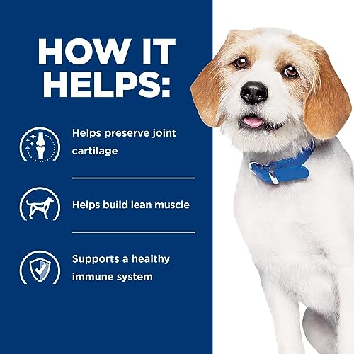 Hill's Prescription Diet j/d Joint Care Small Bites Chicken Flavor Dry Dog Food, Veterinary Diet, 8.5 lb. Bag