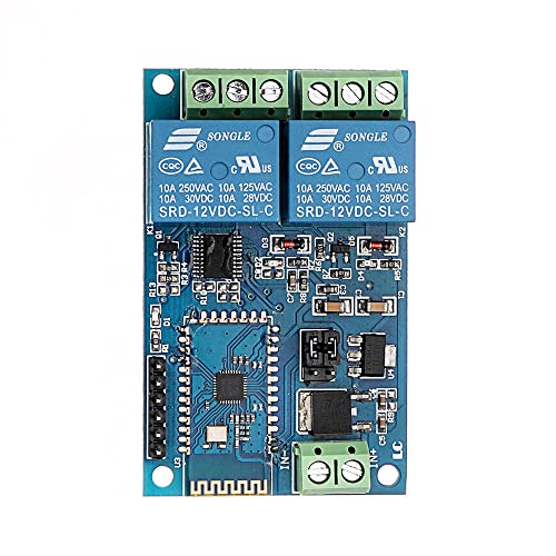 DC12V 2 Channel Bluetooth Relay IOT Smart Home APP Remote Control Switch Module