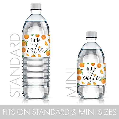Little Cutie Baby Shower Water Bottle Labels, 24 Count