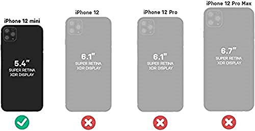 OtterBox Symmetry Clear Series Case for iPhone 12 Mini with Alpha Glass Screen Protector Bundle - Bundle Packaging - Clear