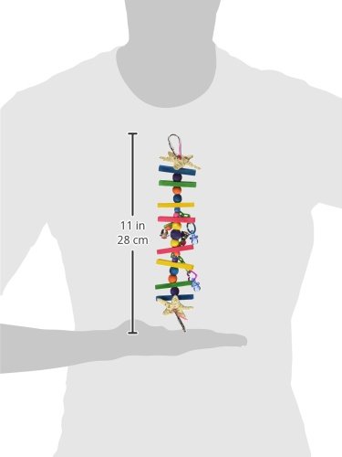Super Bird Creations 2 by 11-Inch Mini Rainbow Bridge Bird Toy, Small