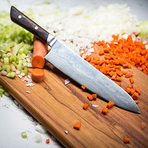 Chef Knife Making Kit β Featuring VG-10 Damascus Steel, Stylish Micarta Handles, Rasps, Files, Portable Bench Vise & More β Includes Step-by-Step Knife Making Guide