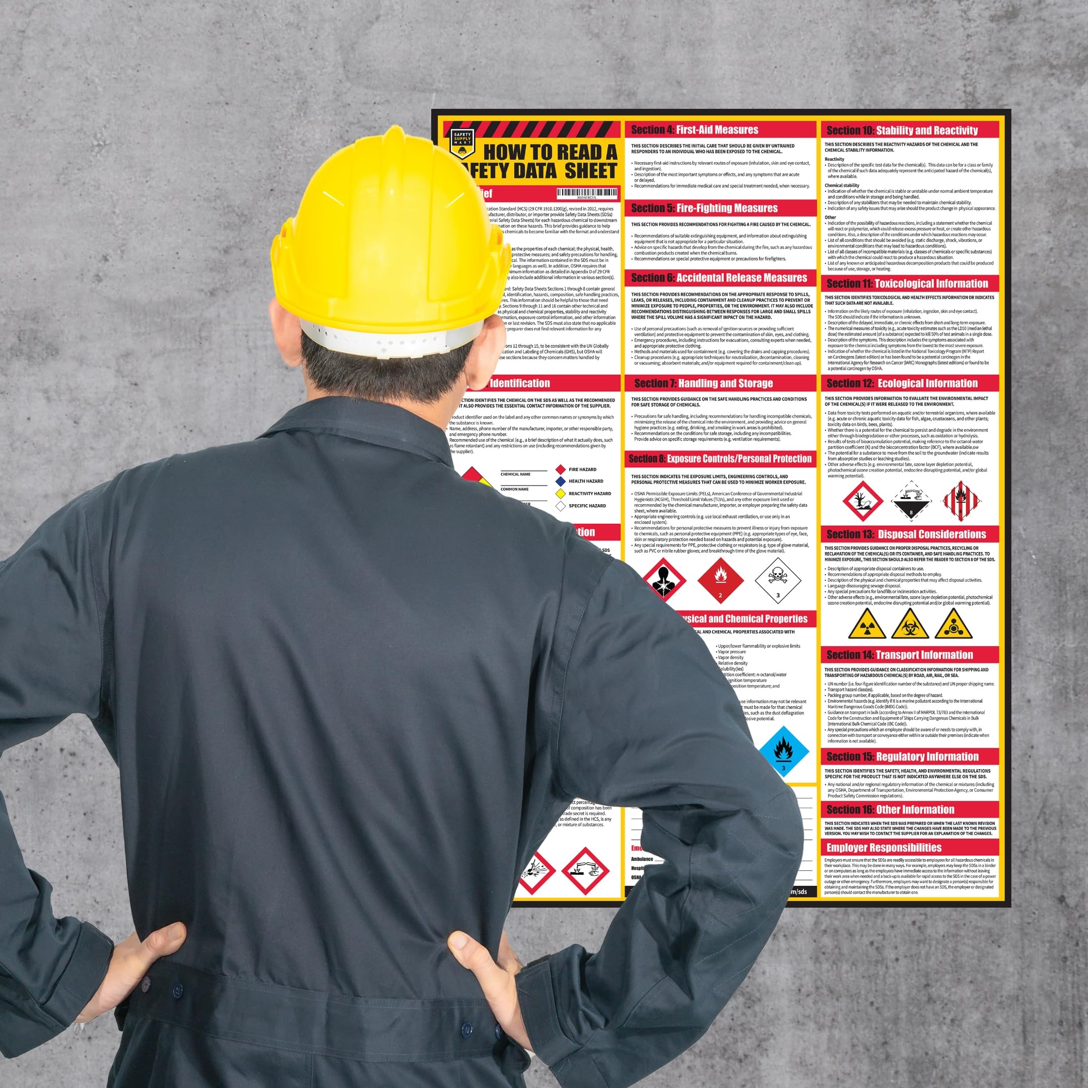 How To Read A Safety Data Sheet (SDS/MSDS) Poster, 24 x 33 Inch, UV Coated Paper (Poster)