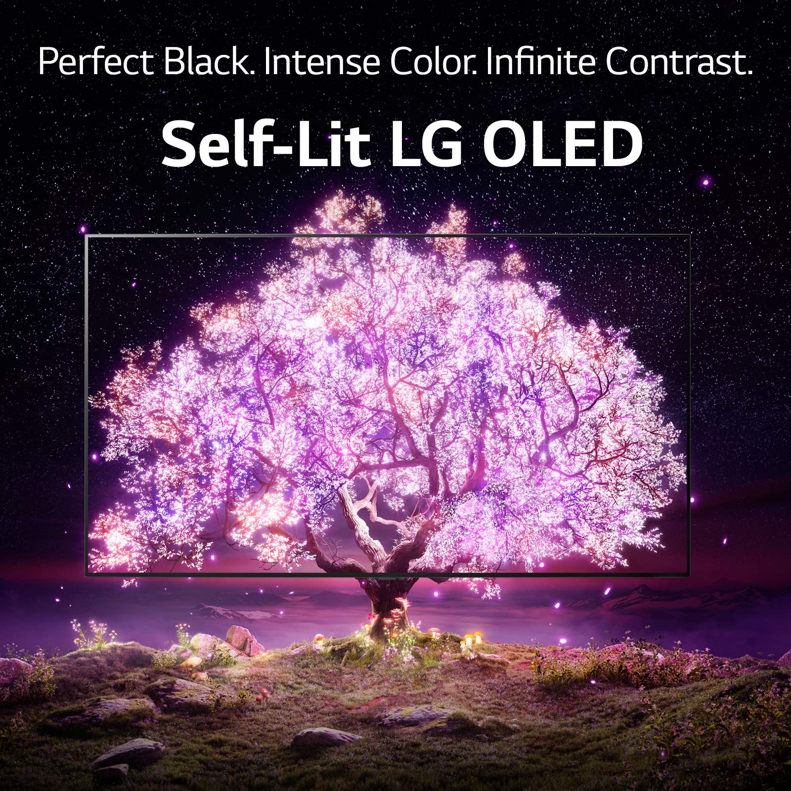 LG OLED65C1PUB Alexa Built-in C1 Series 65" 4K Smart OLED TV (Renewed)