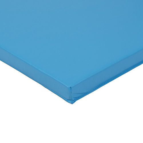 Best Choice Products 10ftx4ftx2in Folding Gym Mat 4-Panel Exercise Gymnastics Aerobics Workout Fitness Floor Mats w/Carrying Handles – Blue