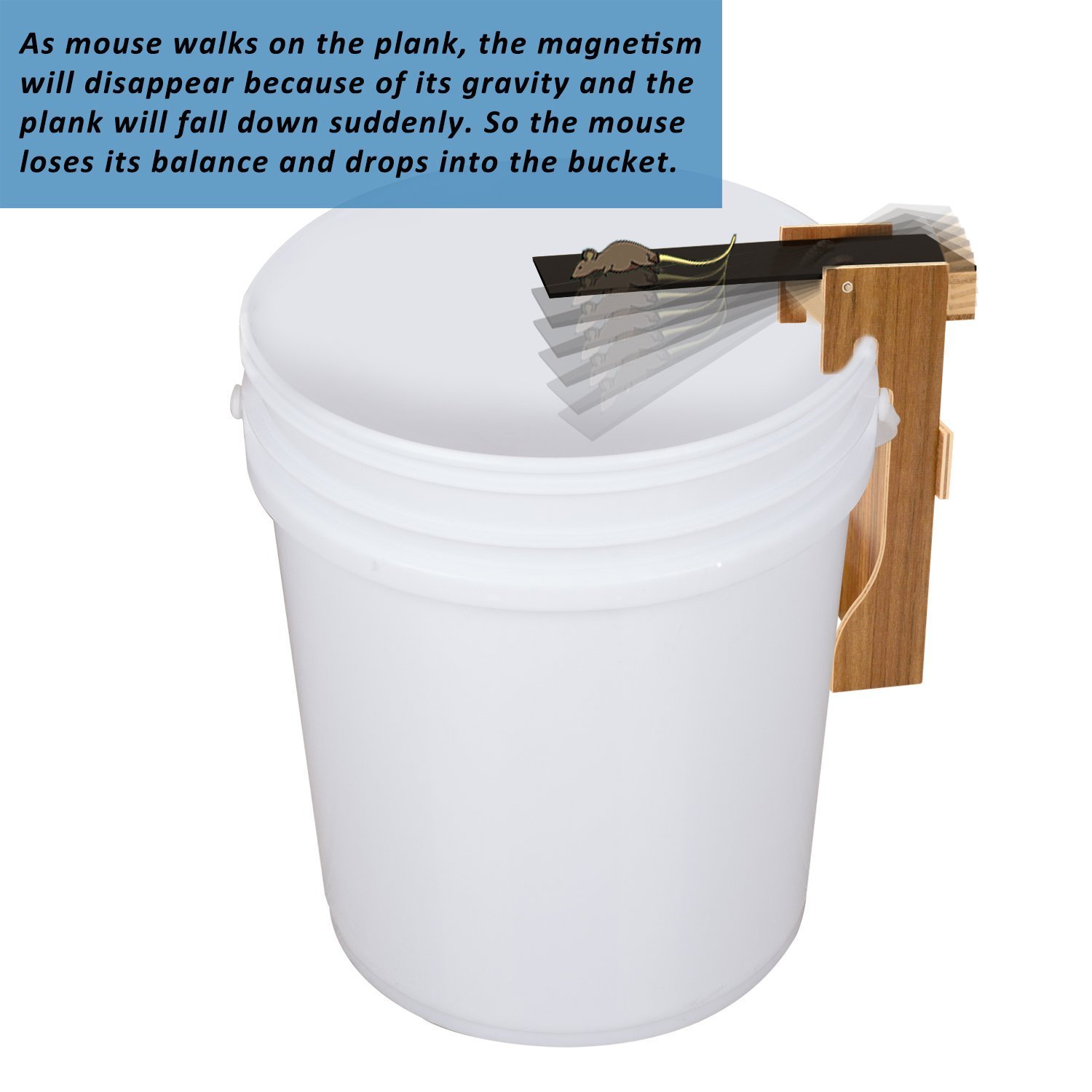 JXZH Plank Mouse Trap from Natural Wood - Humane Bucket Rat Trap - Walk The Plank Mouse Killer for Mice & Other Pests & Rodents