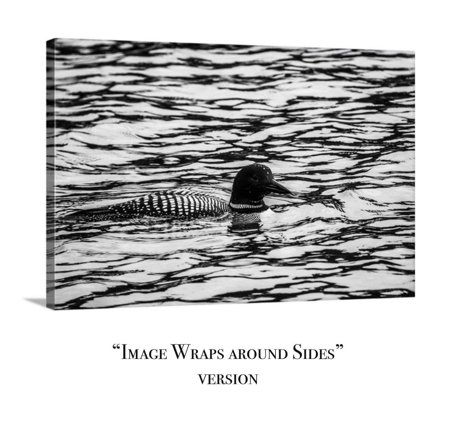Black and White CANVAS Print Nature Photo Swimming Loon on Water Bird Photography Silver Gray Wall Art Monochrome Home Decor Ready to Hang
