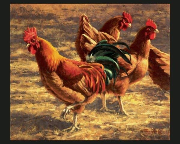 FlashPhoenix Quality Sewing Fabric - 35 x 44 Inch Digital Fabric Panel - Yard 36 x 44 Inch Birds Rooster Chicken Scene