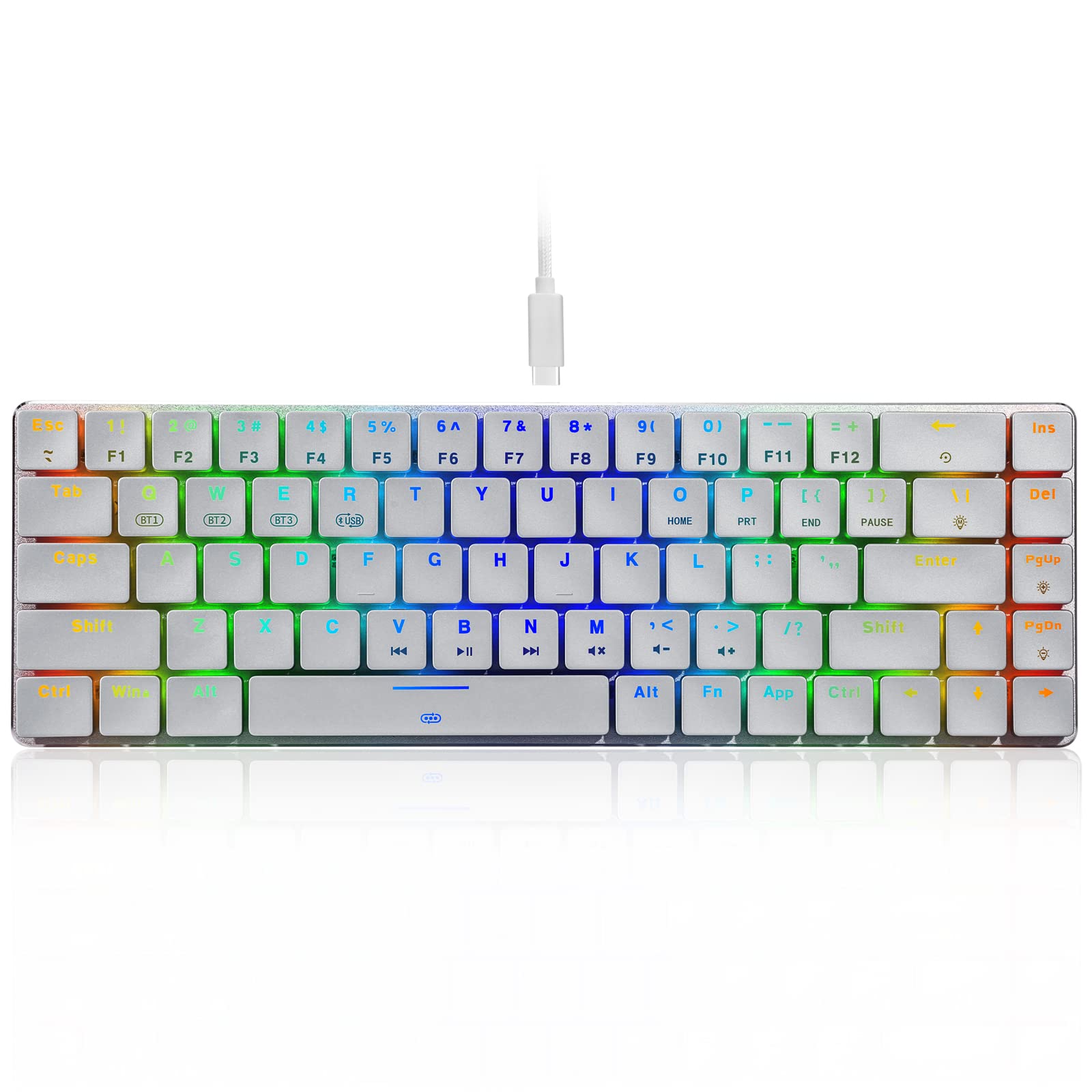 chuangquan CQ009 Mechanical Wireless/Wired Gaming Keyboard Bluetooth 5.0 RGB Backlit Brown Switch Compact 69 Keys Compatible with PC, Laptop and Smartphone (Silver)