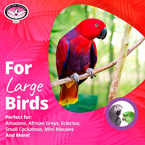 Super Bird Creations SB702 Peacock Sr. Bird Toy, Large Bird Size, 14β x 11β x 1.5β