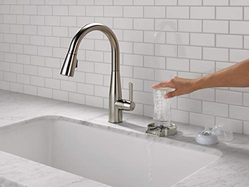 Delta Faucet Glass Rinser for Kitchen Sinks, Kitchen Sink Accessories, Bar Glass Rinser, SpotShield Stainless GR150-SP